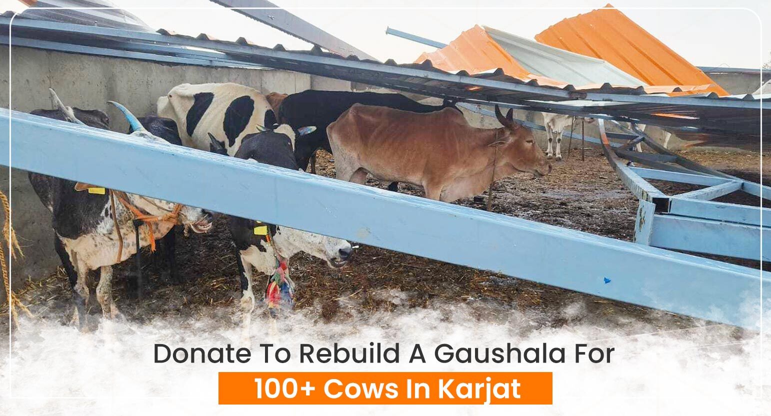 Devastated By Relentless Rains, This Gaushala Needs Your Help To Save ...