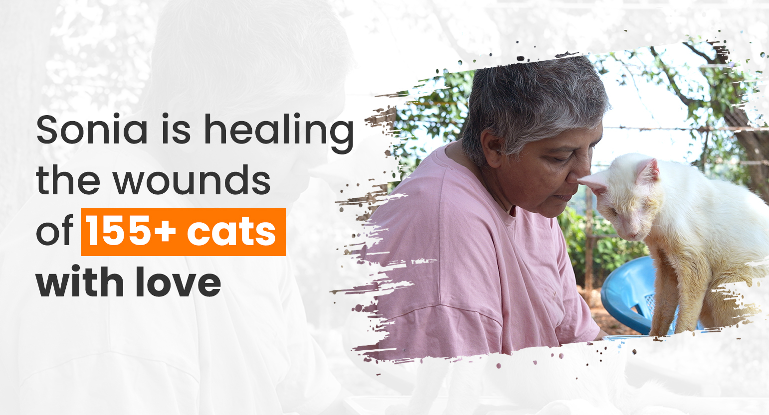 Sonia Is Transforming The Painful Stories Of 155+ Cats Into Tales Of ...