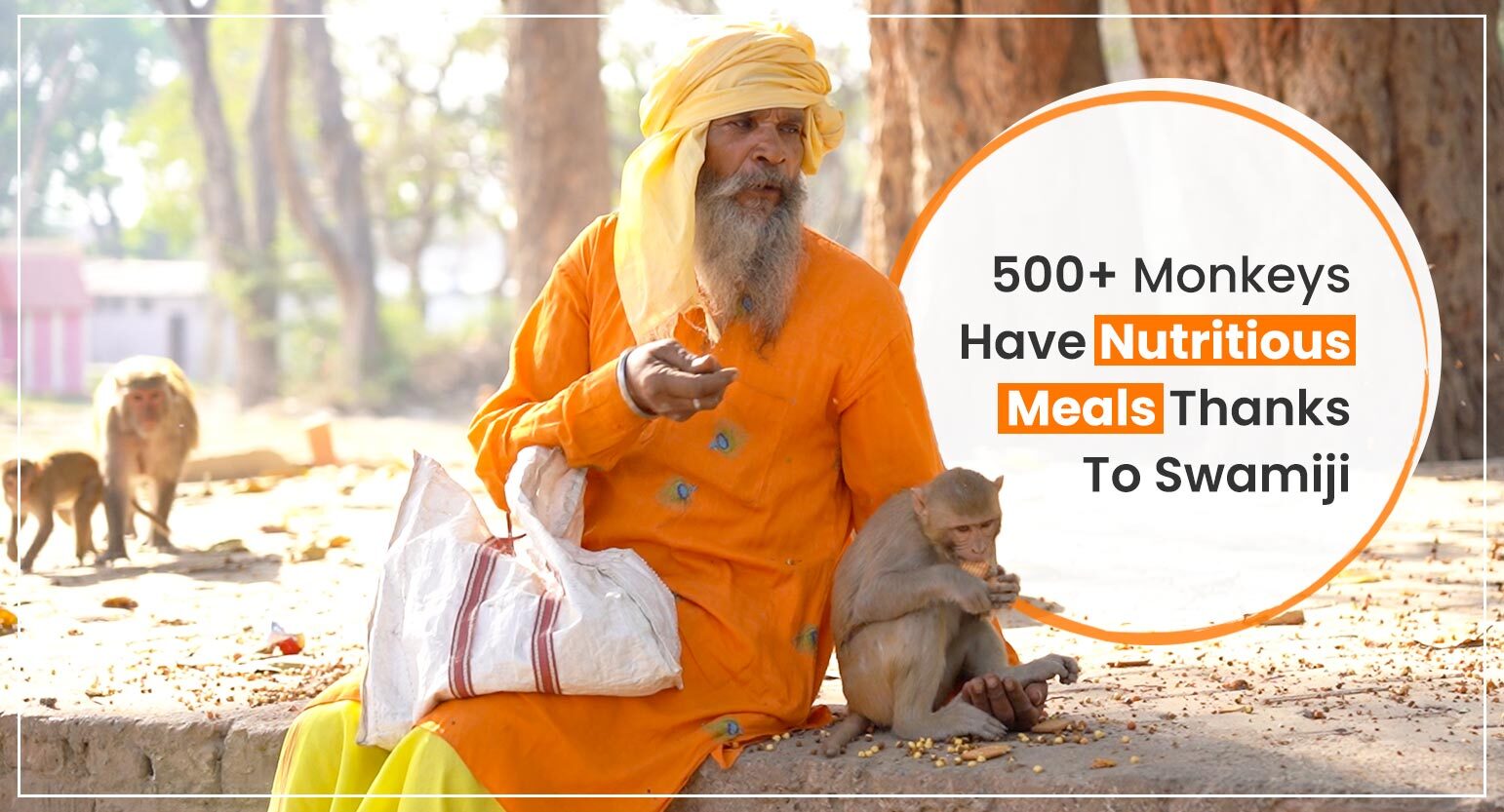 Help This Swamiji in Ayodhya Feed 500+ Monkeys Daily | DonateKart