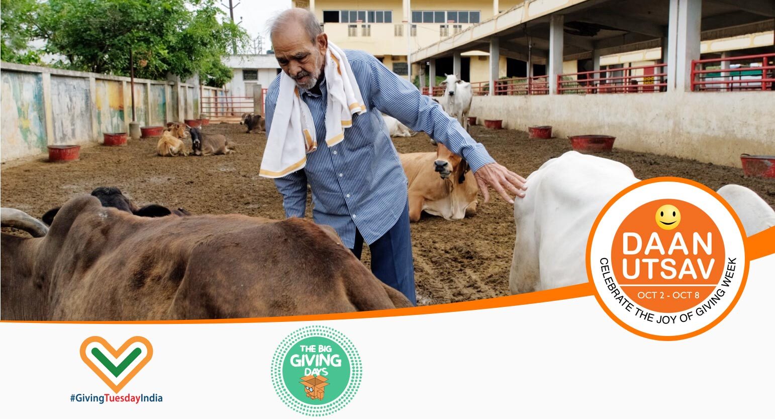 These Cows Have Suffered Through The Worst, Help Dharam Raj Ranka Give ...