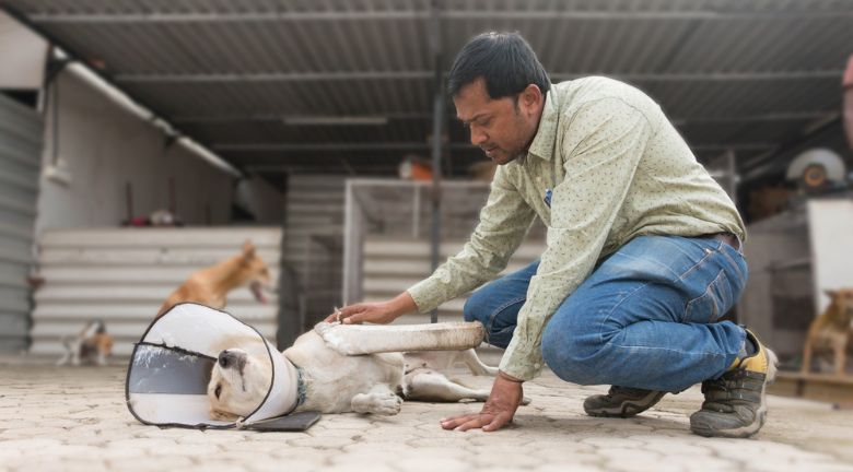 Help MH14 Animal Hospital to provide necessary treatment to the poor ...