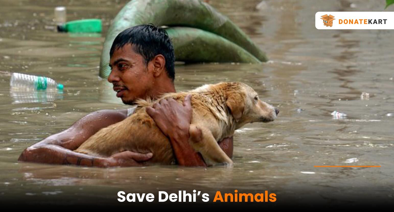 Stranded & Alone, Thousands Of Innocent Animals Are Under Threat Amidst ...