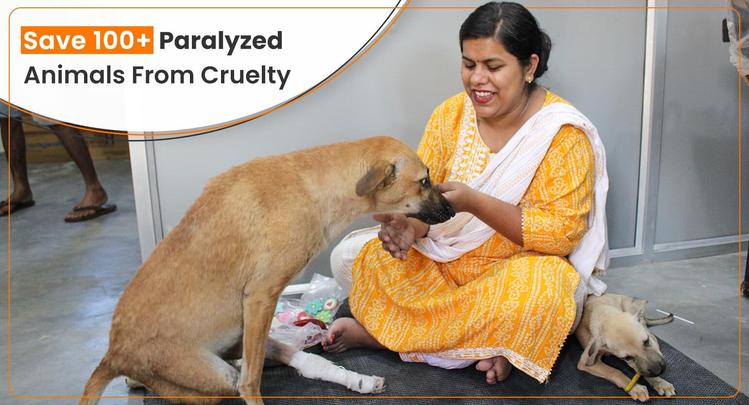 With Love And Care, These Sick & Injured Strays Can Live A Healthy And ...