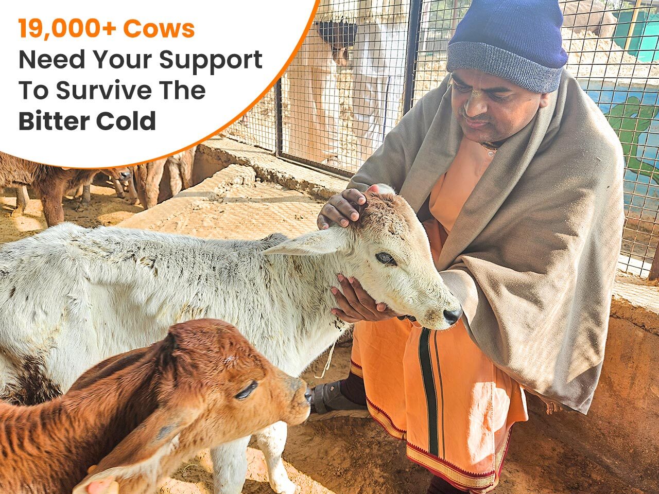Over 19,000 Gaumatas Are Struggling In The Freezing Winter, Help ...