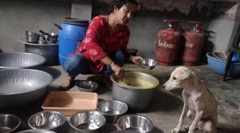 These animals need your help. You can save them from starvation ...